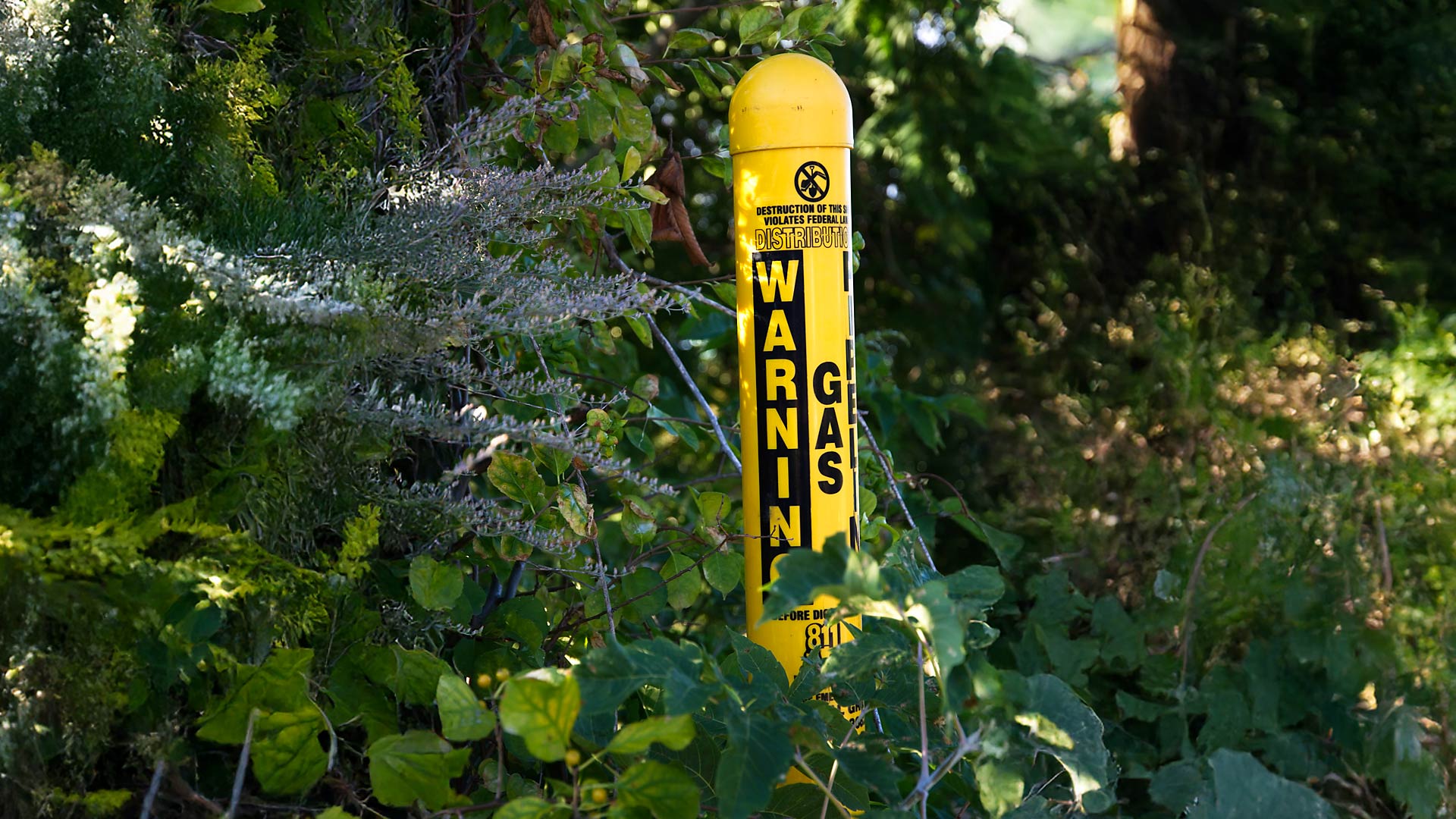 Gas Pipeline Marker Posts | Energy Innovation Centre